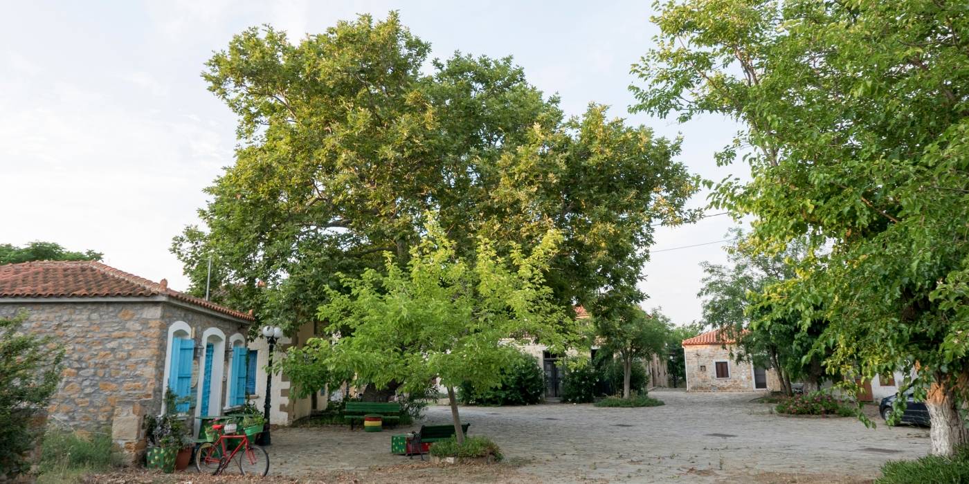 Παλαιό Πεδινό | Πόλεις και χωριά της Λήμνου | limnos.mobi